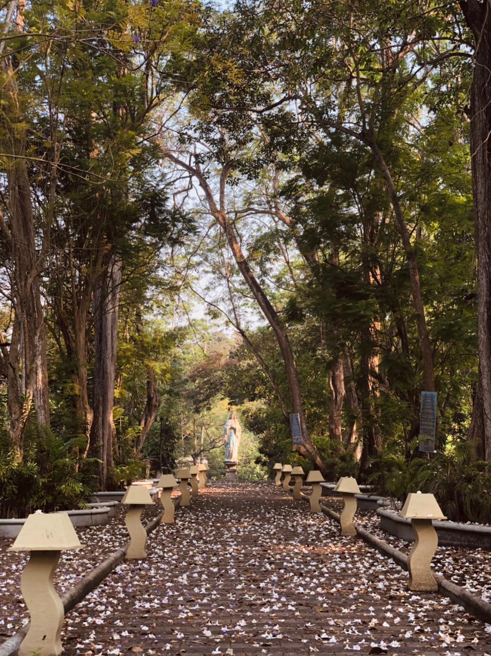 Basilica of Our Lady of Lanka: Tewatta Church, Ragama